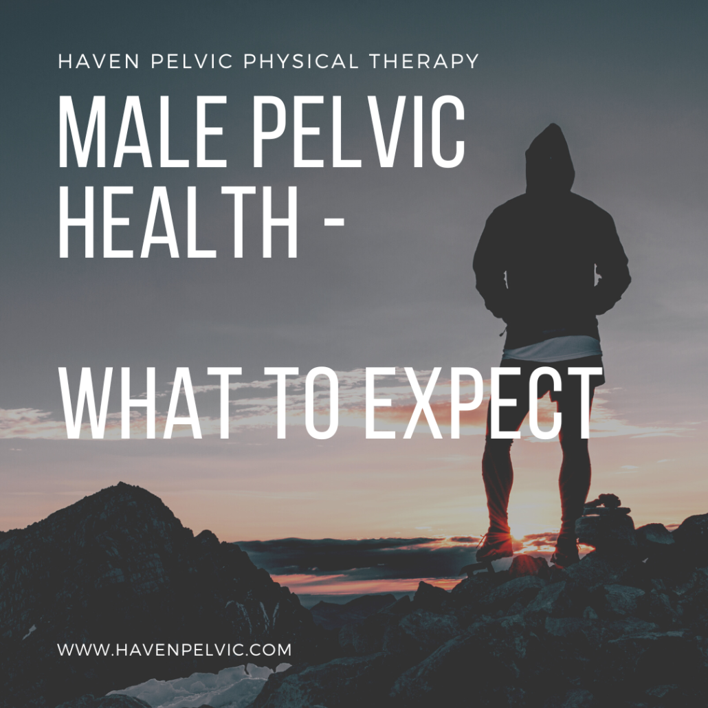 Male Pelvic Floor Physical Therapy – What to Expect – Haven Pelvic